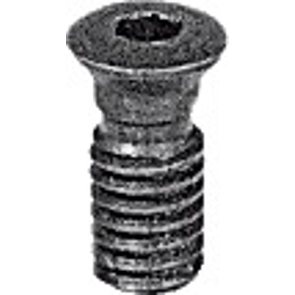 เครื่องมือช่าง TORXP-screws M2,5x4,2 (10 pcs.) | H.M Group Thailand